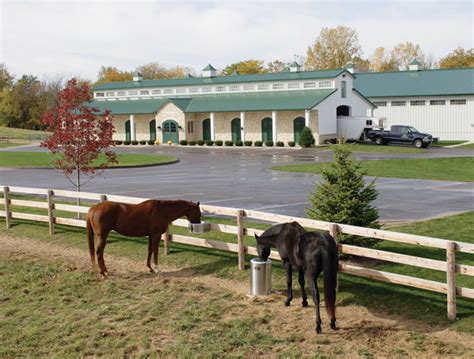 500 Series Horse Waterers Nelson Manufacturing