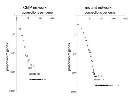 Log Log Plot Of The Node Connectivity In Different Topological