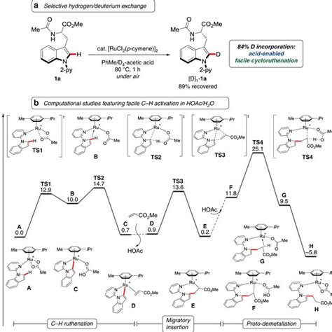 Late Stage Functionalization Of Peptides Rutheniumii Catalyzed Ch
