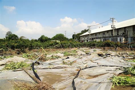 嘉縣豪大雨衝擊 翁章梁勘災損失超5500萬