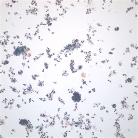 86 Questions With Answers In Cytology Scientific Method