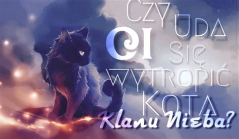 Czy Uda Ci Się Wytropić Kota Klanu Nieba Samequizy