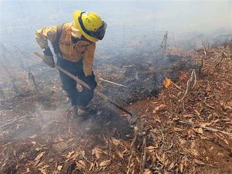 Un Mil 30415 HectÁreas Consumidas En La Temporada De Incendios Conred