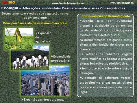 Faqbio Apoio Ao Estudo De Biologia Ficha Resumo Faqbio 60