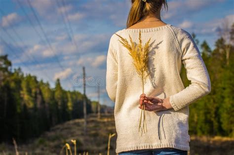 A Woman Holds An Ear Of Grass In Her Hand Behind Her Back Stock Image