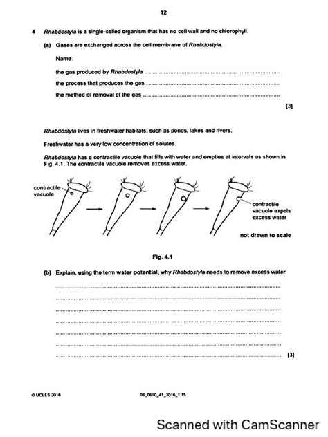 Bio Assignment 6 Pdf