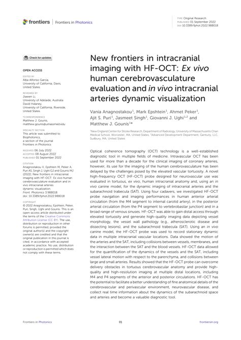 pdf new frontiers in intracranial imaging with hf oct ex vivo human cerebrovasculature