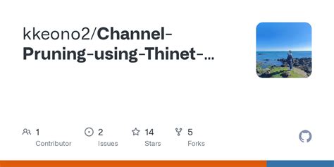GitHub Kkeono Channel Pruning Using Thinet LASSO