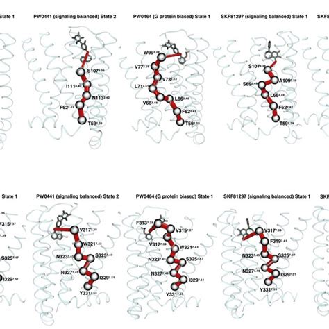 Optimal Shortest Signaling Pathways From Each Ligand State To