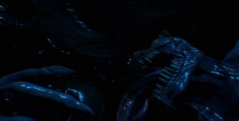 Ven M And Xenomorph Thisvid Com