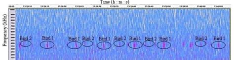 Spectrograms Of The Calls Of The Eagle Owl Bird 1 And Long Eared Owl