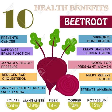 Vector 10 Health Benefits Information Of Beetroot Nutrients