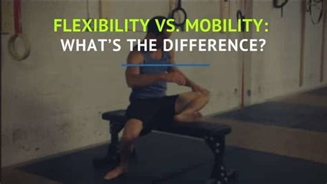 Flexibility Vs Mobility Whats The Difference Precision Movement