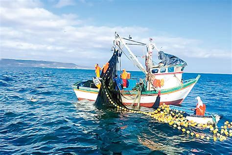 Perú Se Compromete A Revalorar La Pesca Artesanal Y Su Aporte A La
