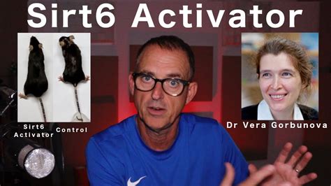 Mouse Age Reversed Human Clinical Trial Started Go It