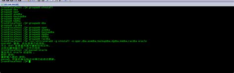 Oracle19c离线安装教程 解压包方式 晨哥 博客园