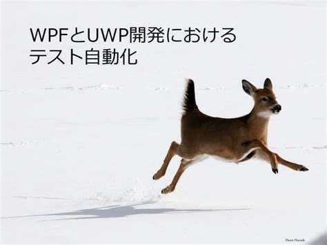 Netconf Ppt