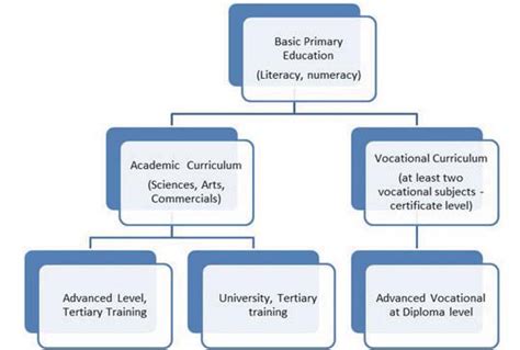 Proposed Differentiated Curriculum Model Download Scientific Diagram