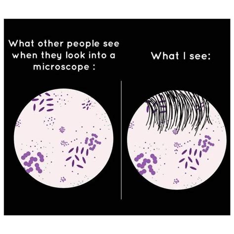 Пин от пользователя Amanda Prater Cantrell на доске Medical Laboratory