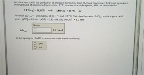 Solved The Hydrolysis Of Adenosine Triphosphate Atp To