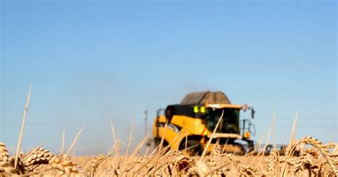 Far Research Harvest Snippets 2024