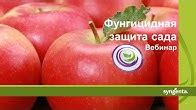 «Сингента» в России / Syngenta Russia - YouTube