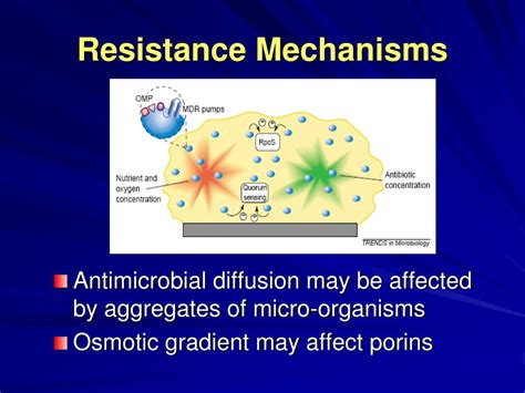 Ppt Biofilms Antibiotic Resistance And Implications For Medical