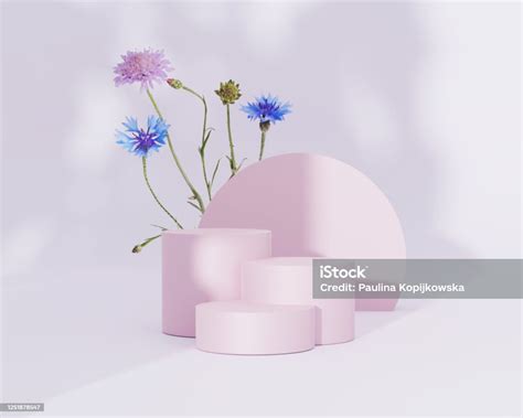 파스텔 핑크와 자연 화이트 배경 복사 공간에 필드 플라워 콘플라워 여름 그림자가 있는 3d 포디움 디스플레이 라일락 쇼케이스