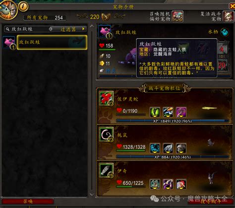 魔兽回归攻略 宠物10 02隐藏宠物淡绿鸭子和玫红跃蛙获取攻略 网络游戏新闻 17173 com中国游戏门户站