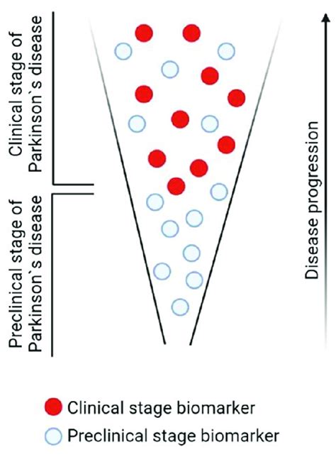 Schematic Representation Of The Emergence Of New Biomarkers In The
