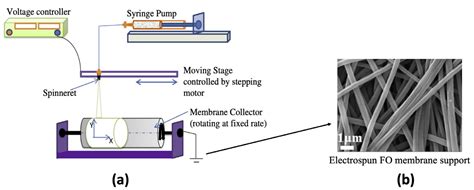 Membranes Free Full Text Design Strategies For Forward Osmosis Membrane Substrates With Low