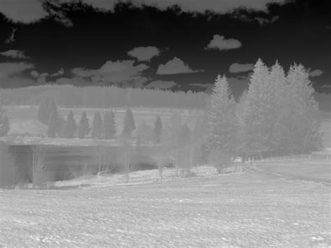 bachelorarbeit object detection dataset by new workspace sbpnb