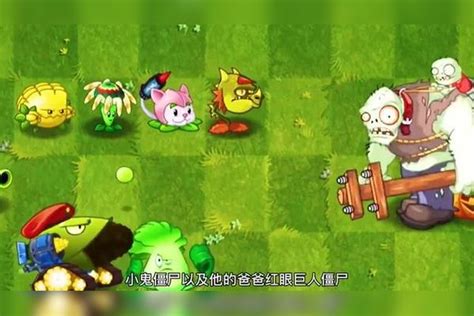 植物大战僵尸豌豆国王带领六大护卫对战罗马僵尸火龙草暴打雪人僵尸 罗马 六大 植物大战僵尸