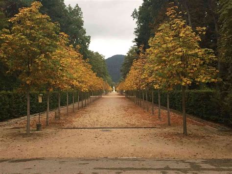 Gitpitch Slideshow Presentations For Developers On Gitlab Gitlab