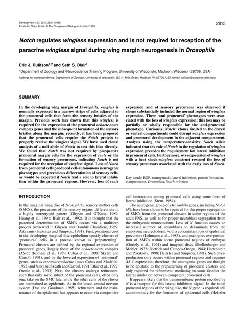 Pdf Notch Regulates Wingless Expression And Is Not Required For Reception Of The Paracrine