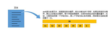 Linux脚本攻略学习笔记之awk简单语法和begin、end实例演示awk Begin Csdn博客
