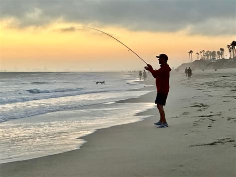 Best Setups Rigs For Surf Perch Fishing In California Oregon