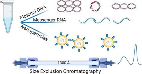 使用超宽孔径排阻色谱柱分离质粒 Dna 拓扑形式、信使 Rna 和脂质纳米颗粒聚集体 Analytical Chemistry X Mol