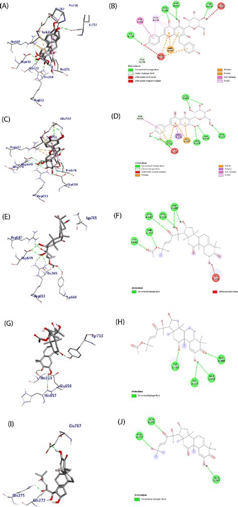Pictorial Representation Of The Molecular Interactions Between Download Scientific Diagram