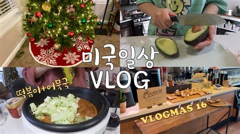 🎄블로그마스🇺🇸 미국집 크리스마스 트리 거실 정리 근황 떡볶이 어묵국 아보카도 샌드위치 미국 일상 집밥 브이로그 Vlogmas 16 Youtube