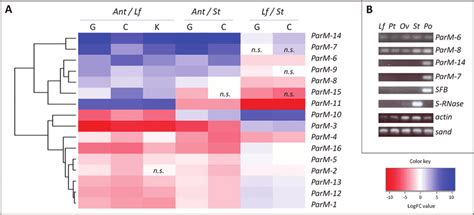 gene expression analysis a heat map illustrating rna seq download scientific diagram