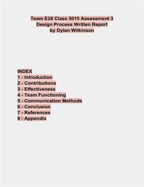 Team Design Process Report