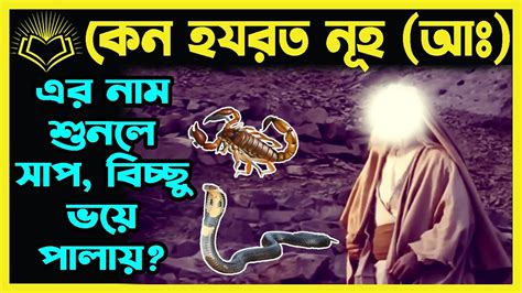 কেন হযরত নূহ আঃ এর নাম শুনলে সাপ বিচ্ছু ভয়ে পালায় Youtube