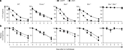 Enforced Expression Of Constitutively Active Akt1 Only Minimally