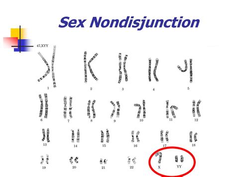 Mutations Chapter 12 Pages 345 Ppt Download