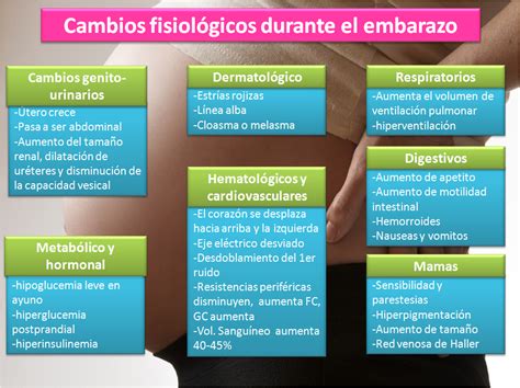 Víctor Manuel Martínez Beltrán Grupo 5 Cambios Fisiológicos Durante El