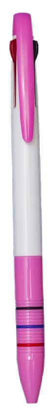 PP53