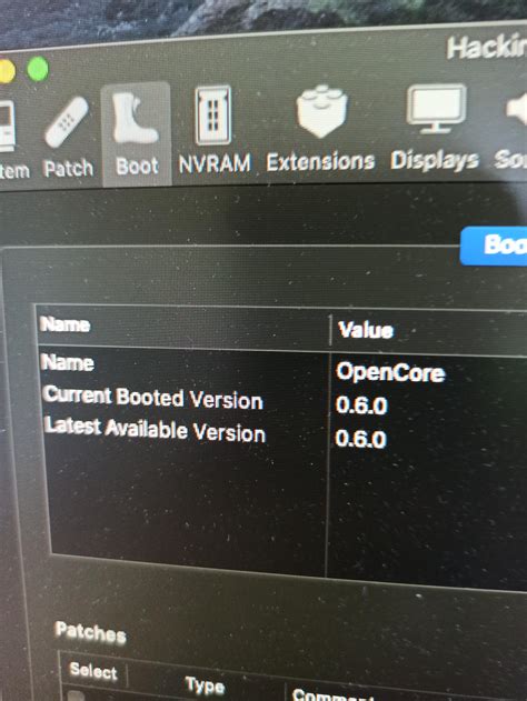 Successfully Upgraded My Opencore Version From 059 To 060 Idk Why