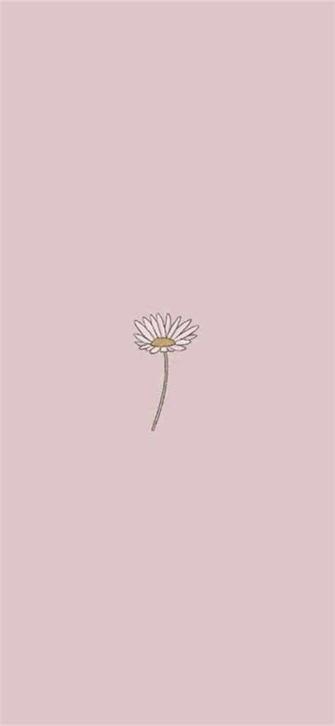 Best Simple Aesthetic Hd 2021 Picture In 2021 By Retnaburn