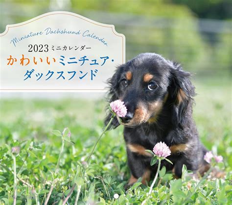 2023年カレンダー かわいいミニチュア・ダックスフンド 誠文堂新光社カレンダー 井川 俊彦 本 通販 Amazon